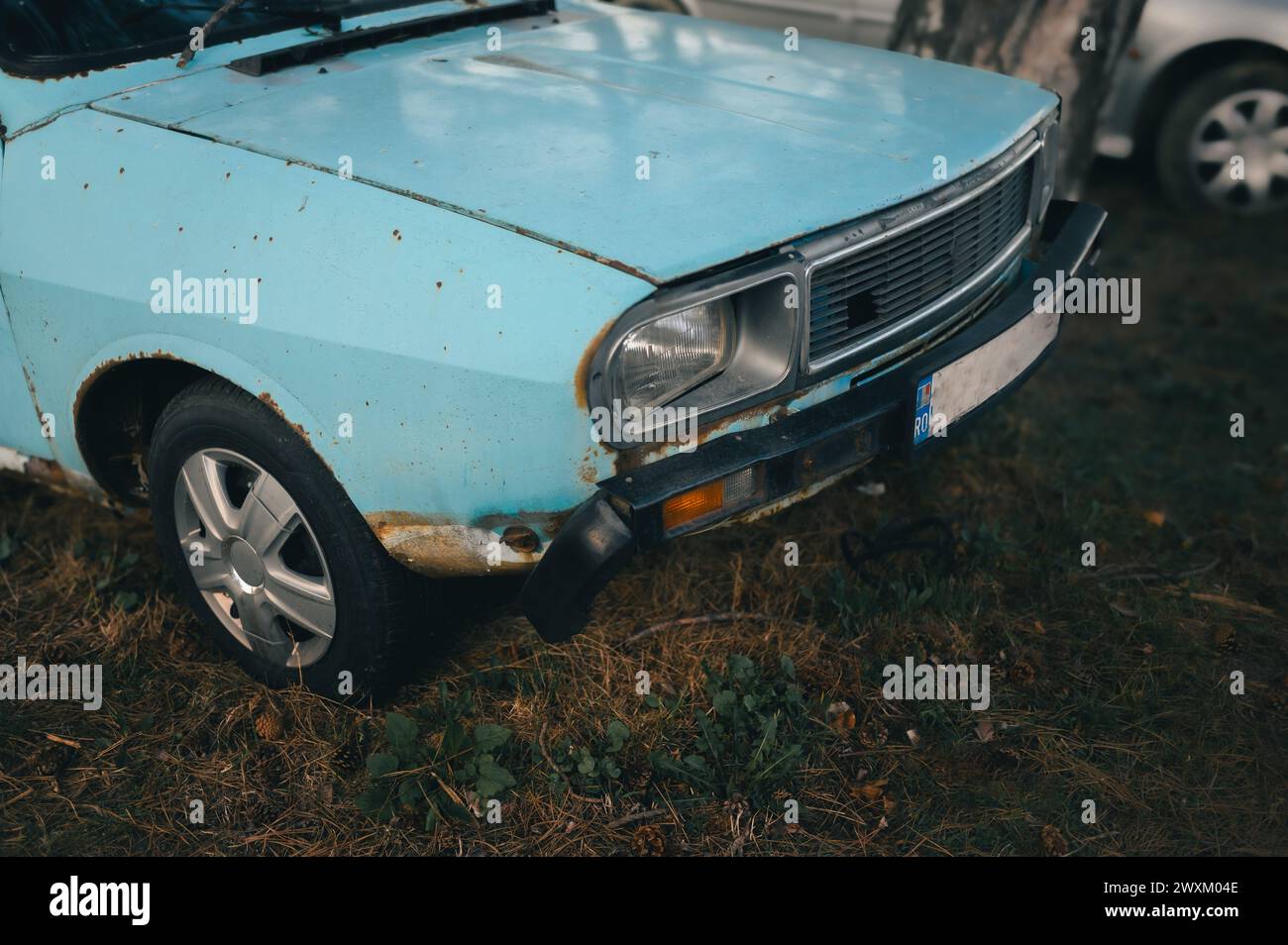 Two cars parked in a grass field with scattered tree branches Stock ...