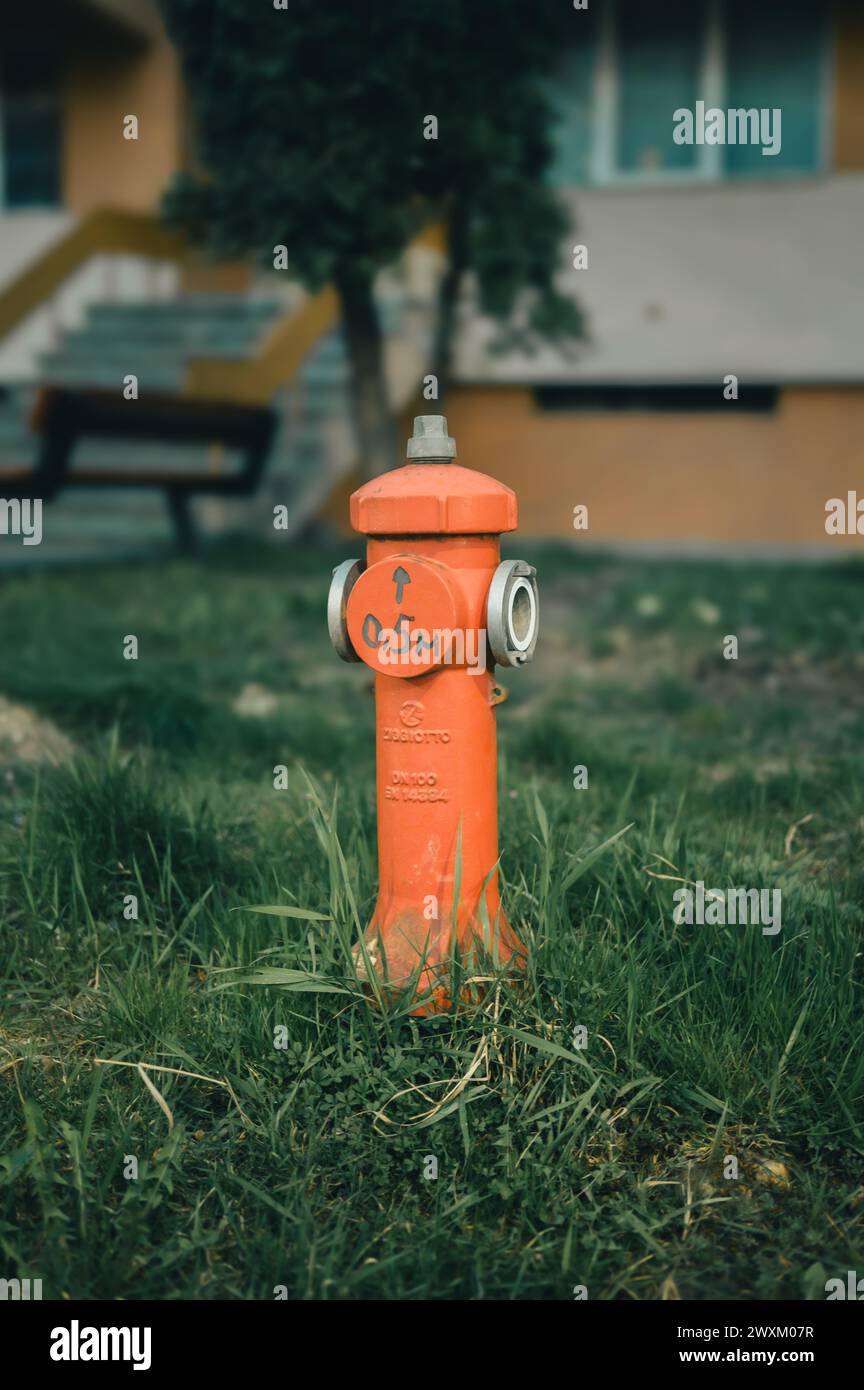 A fire hydrant with eye decals on grass Stock Photo - Alamy