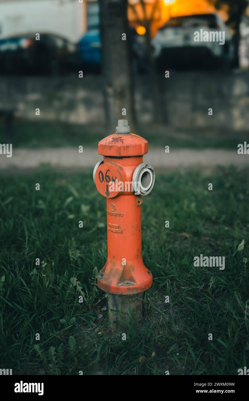 An orange fire hydrant stands in a grassy field beside a tree Stock ...