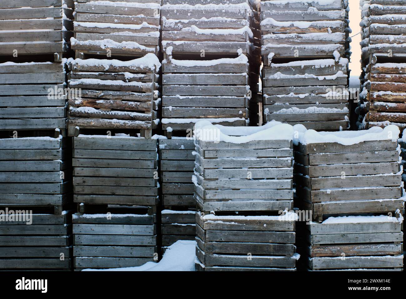 Wooden slatted boxes in backyard of vegetable store Stock Photo - Alamy