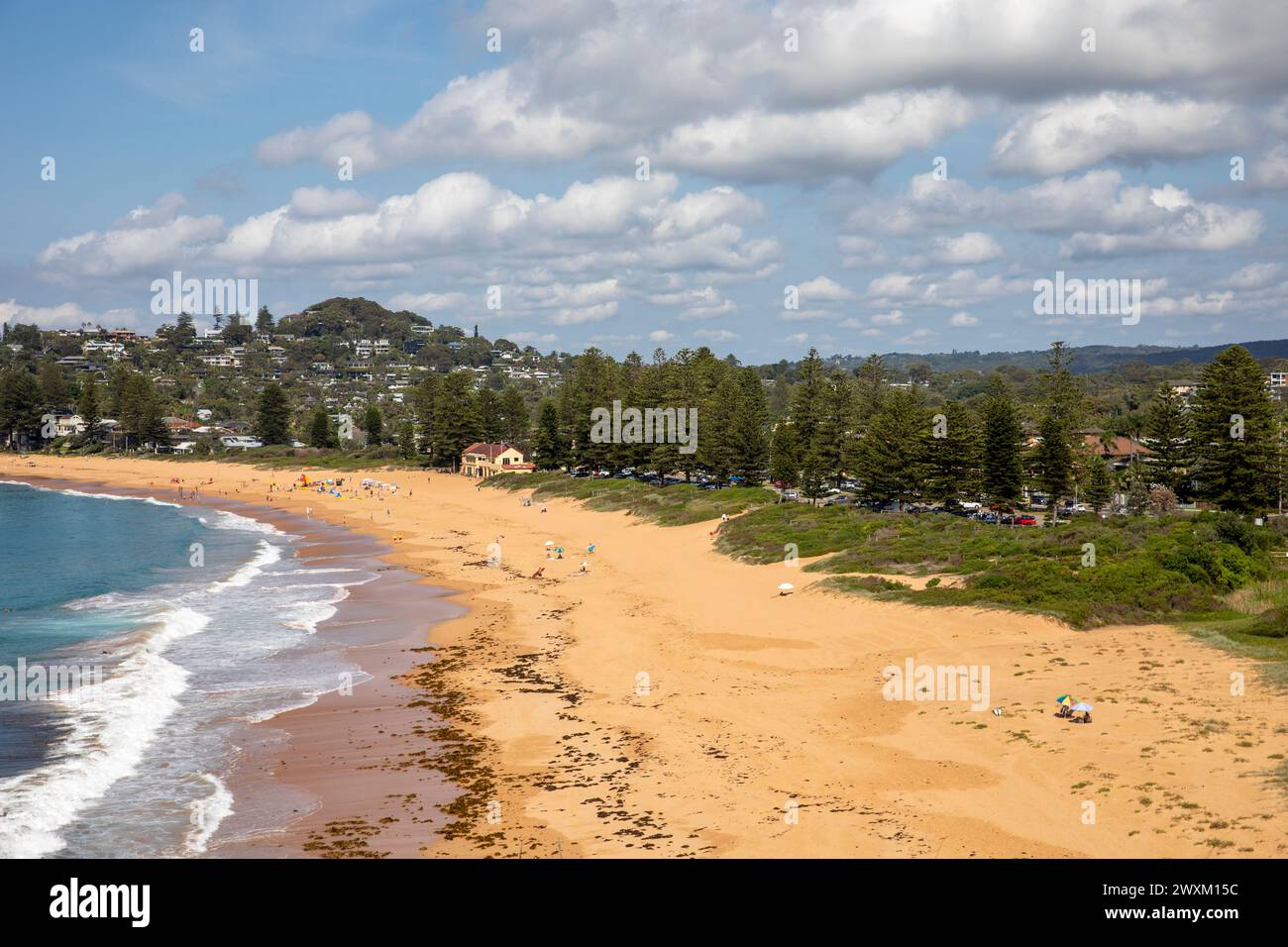 Newport Beach Sydney, looking south along the coast, Sydney northern ...