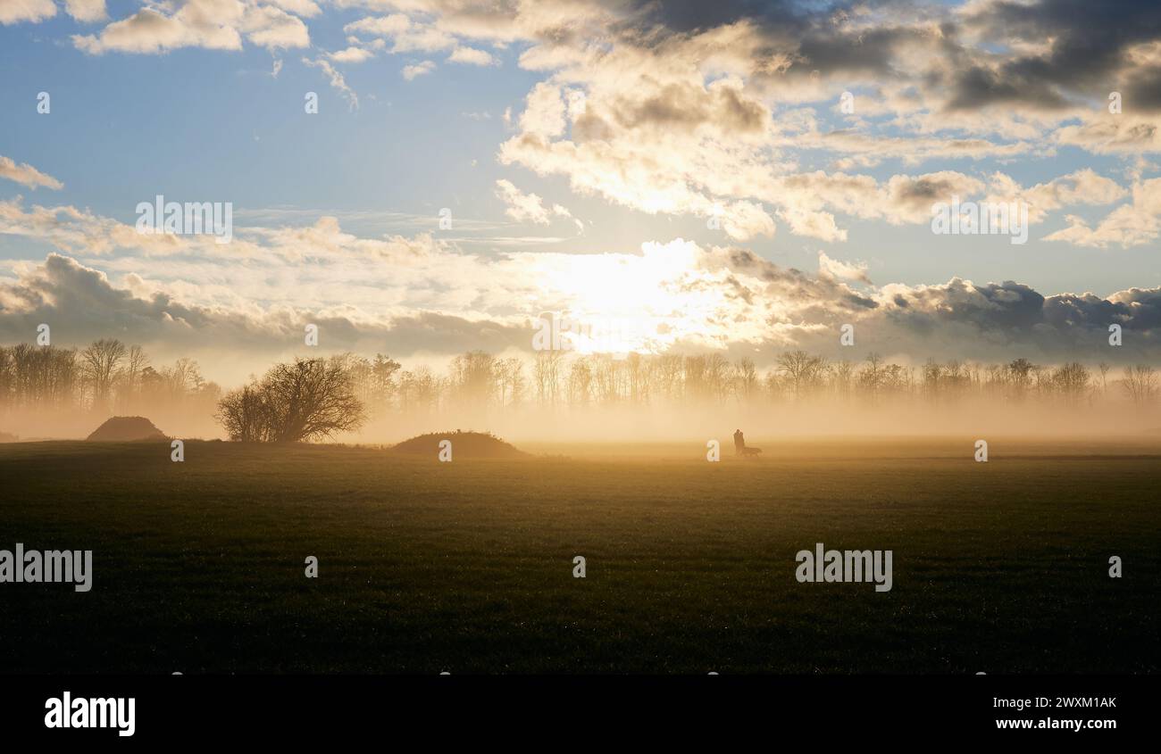 Her cattle and her fields hi-res stock photography and images - Alamy