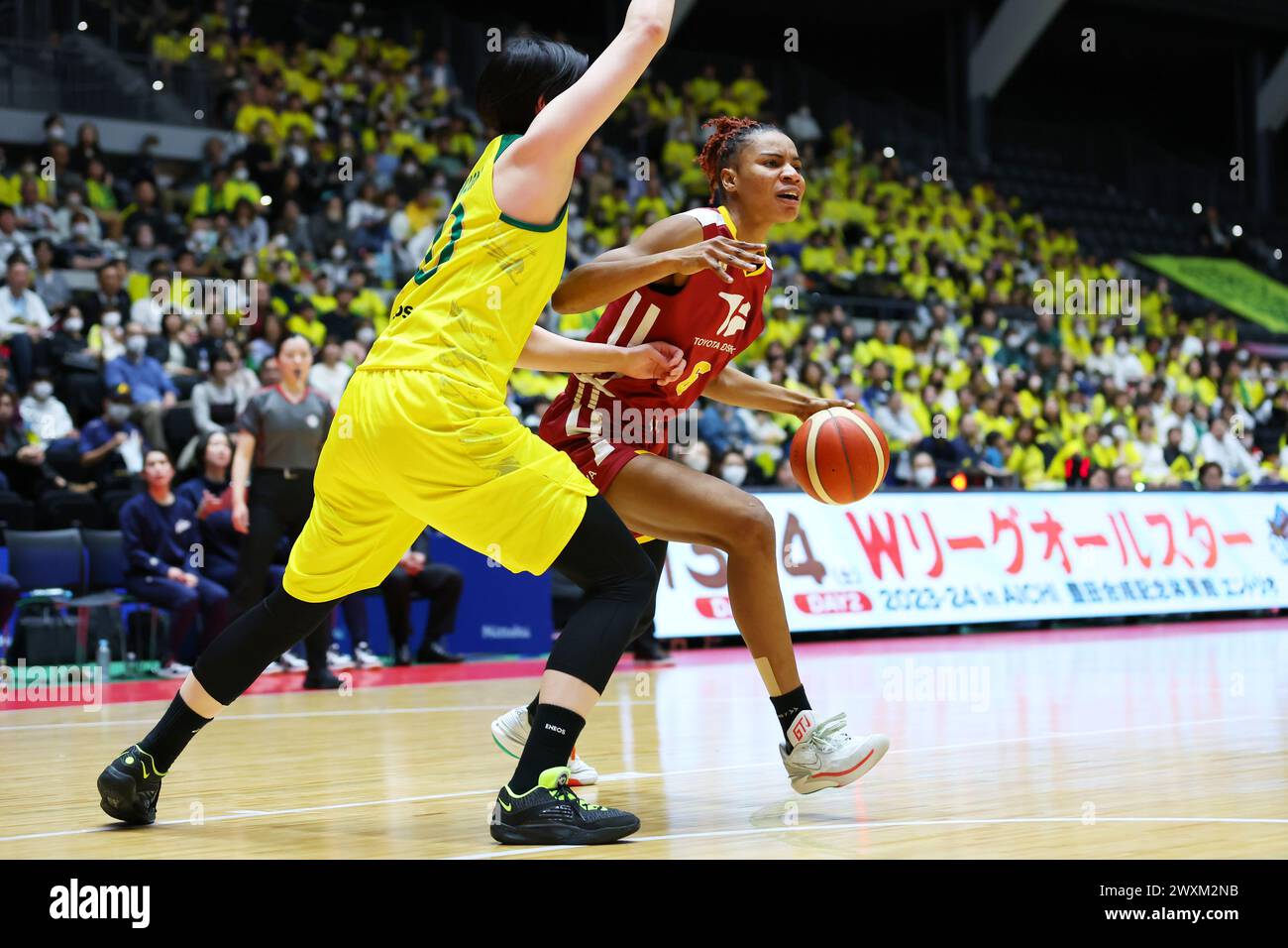 Takasaki Arena, Gunma, Japan. 31st Mar, 2024. Dimaro Jessica (Sunshine ...