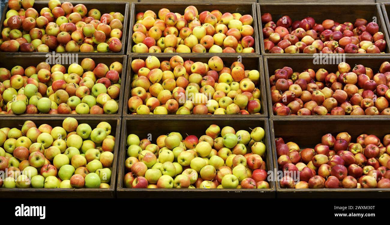 Apple harvest on the supermarket counter. Farm apples in boxes on a ...