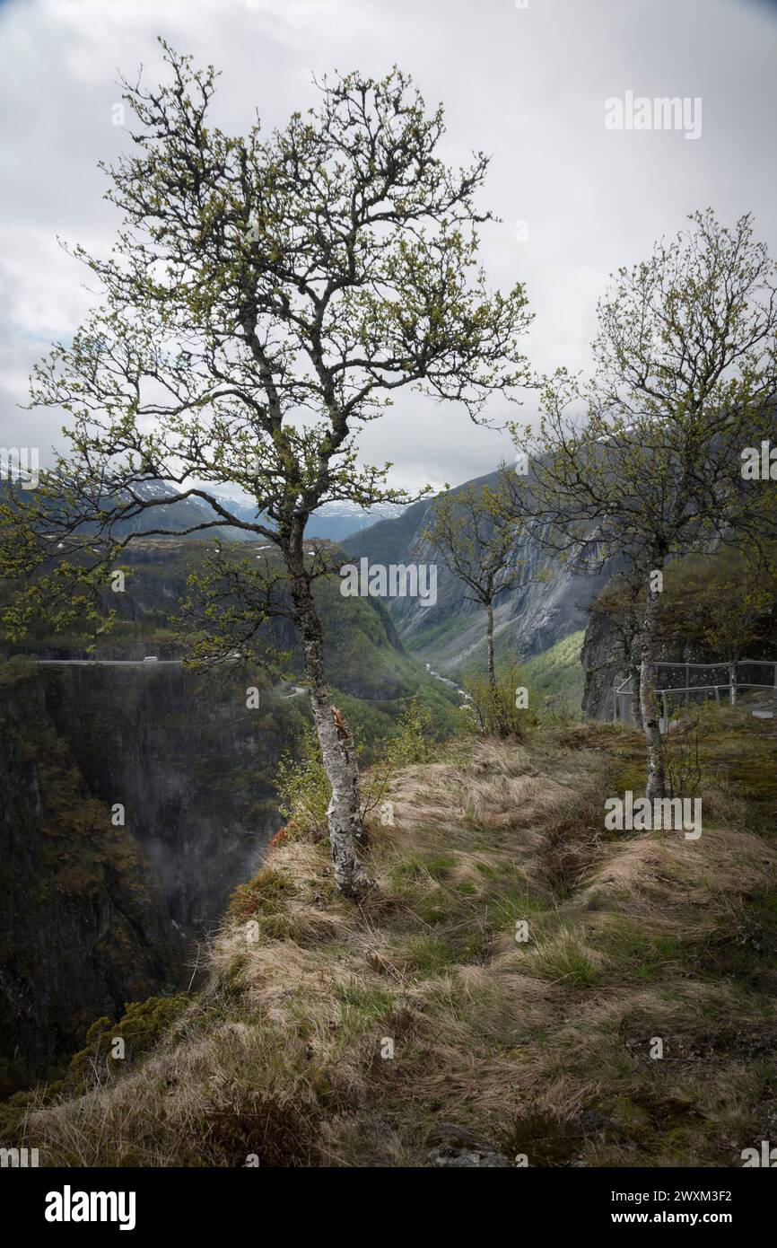 Plateau de la montagne hi-res stock photography and images - Alamy