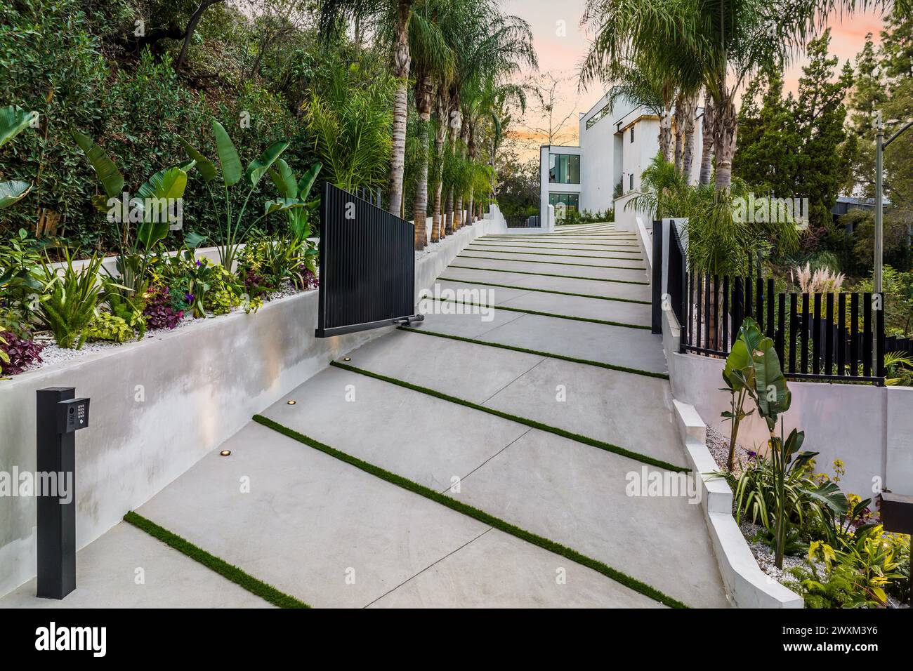 A path lined with greenery leading to a white background Stock Photo ...
