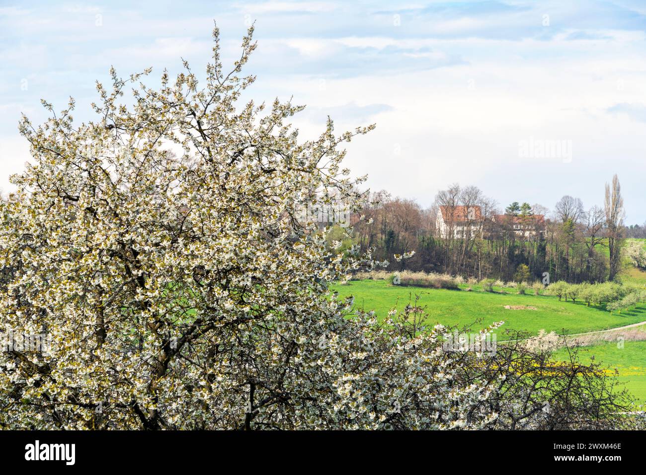 Schlatthof hi-res stock photography and images - Alamy