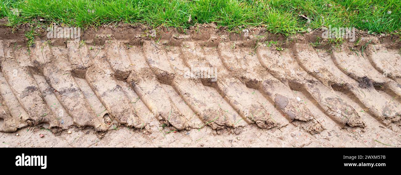 Track of tractor wheels on a farm field path Stock Photo - Alamy