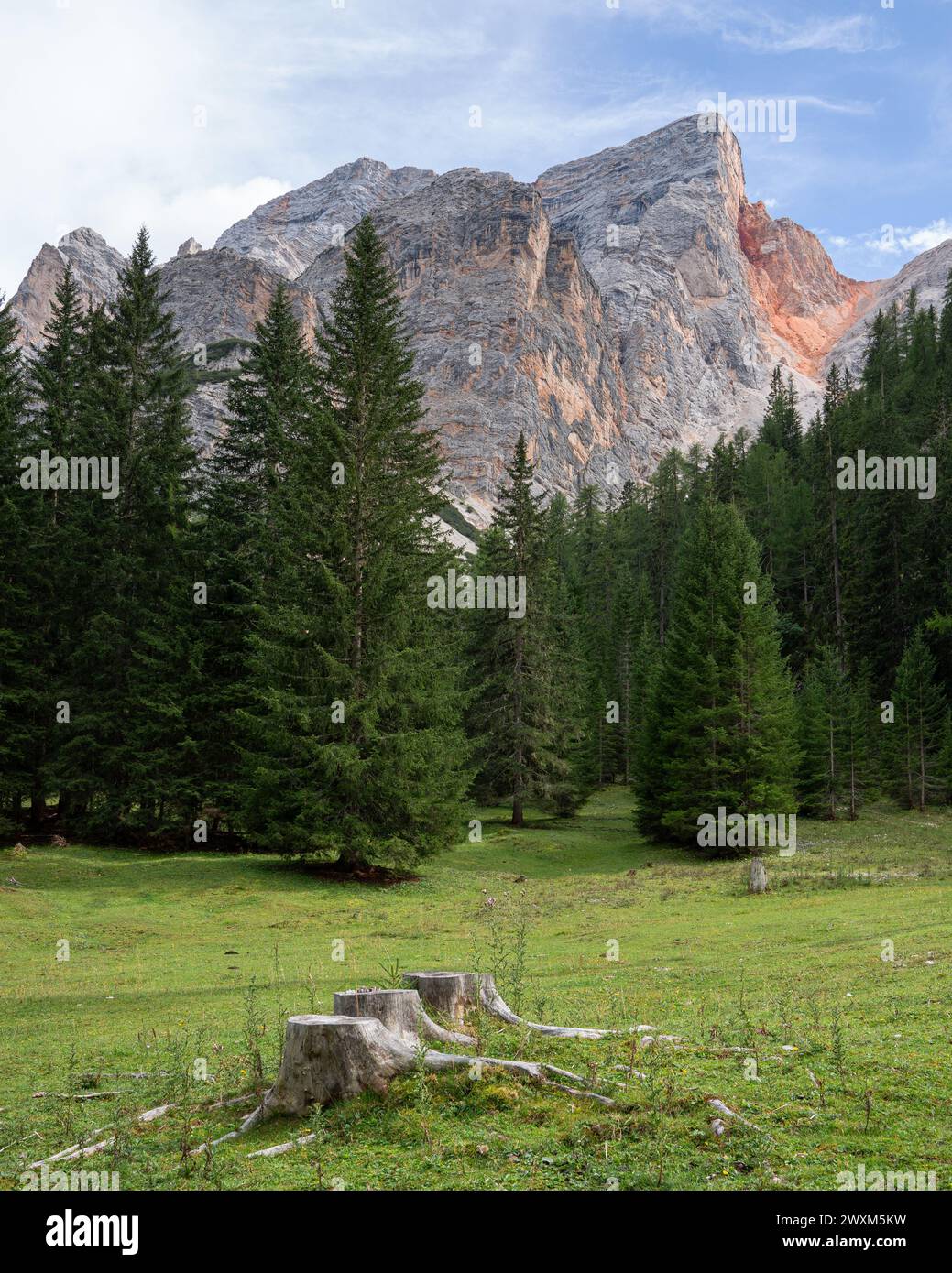 Panoramic image of landscape in South Tirol with famous Prags valley ...
