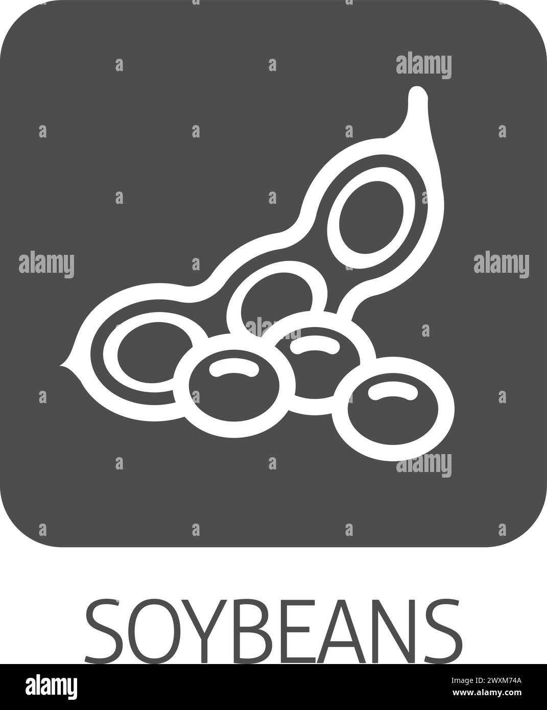 A Soybean Soy Bean Food Allergen Icon Concept Stock Vector Image & Art ...