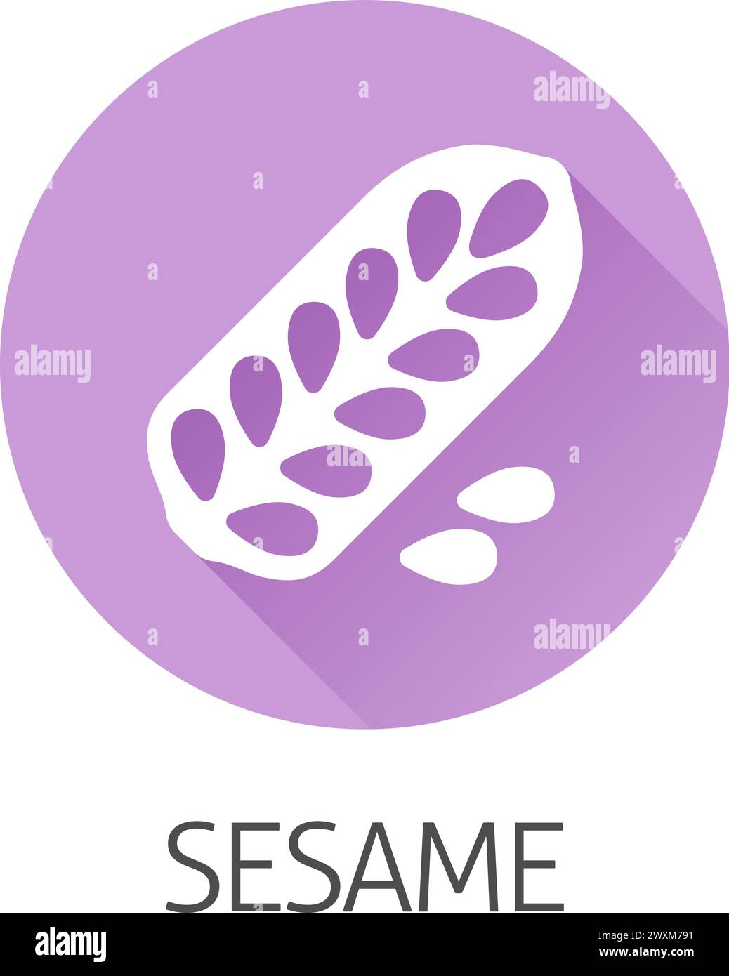 Sesame Seed Capsule Pod Food Allergen Icon Concept Stock Vector Image ...