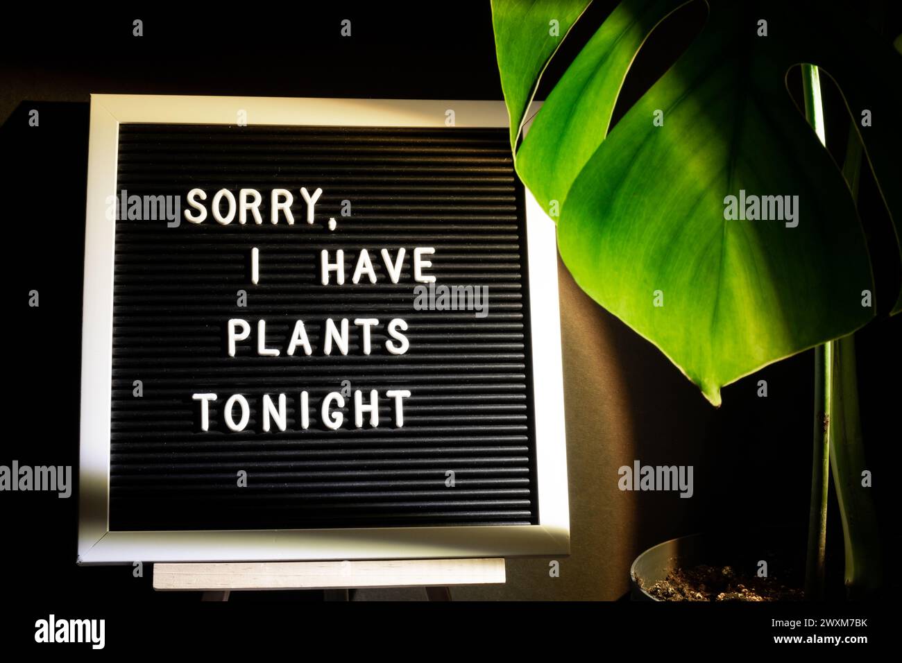 Caption saying SORRY I HAVE PLANTS plans TONIGHT Indoors garden healthy ...