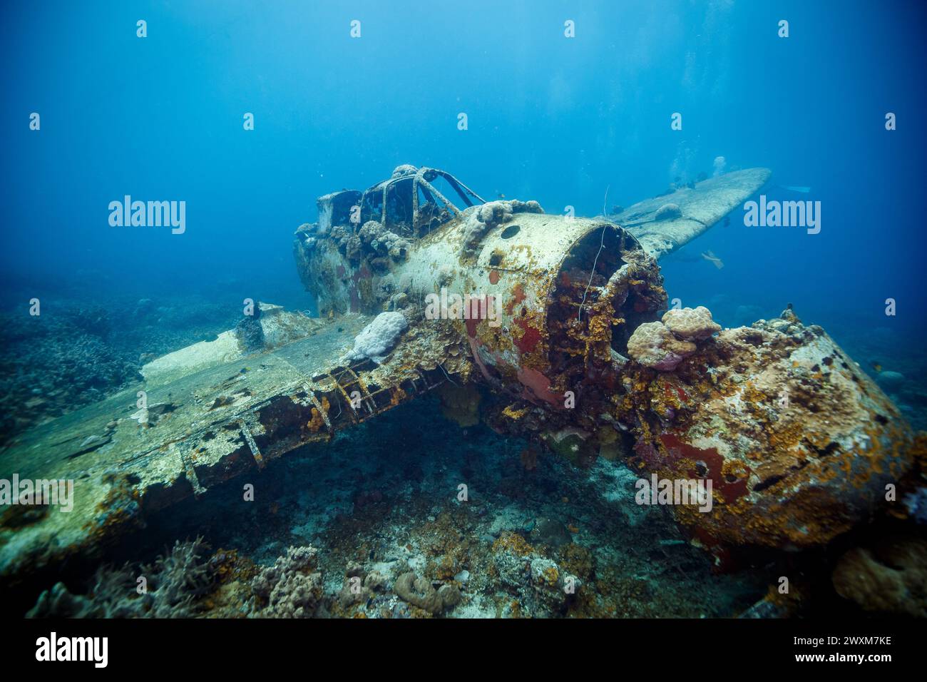 A sunken plane resting on the ocean floor Stock Photo - Alamy