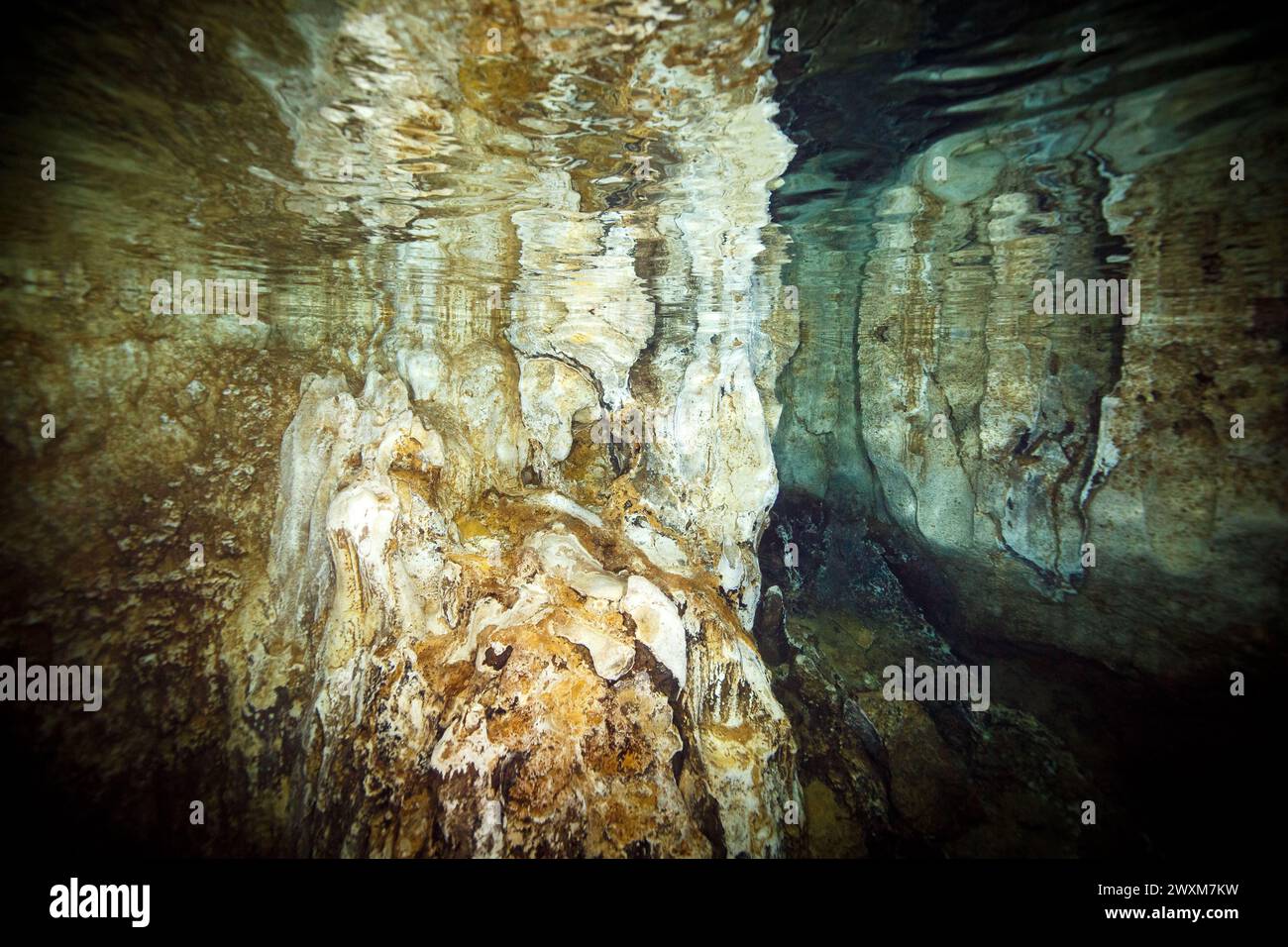 The rock formations underwater in a cave Stock Photo - Alamy