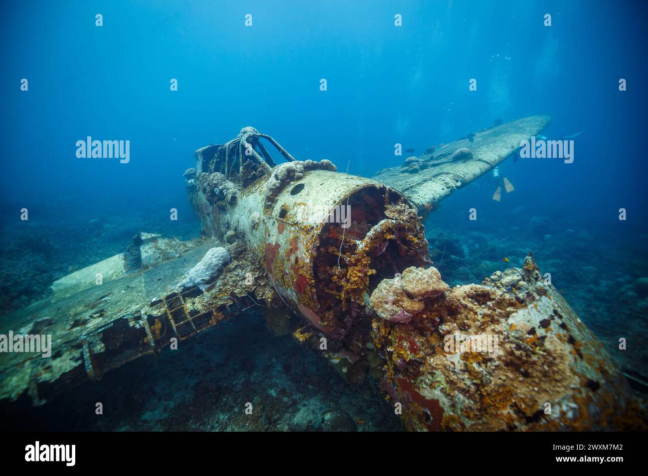 A sunken plane resting on the ocean floor Stock Photo - Alamy