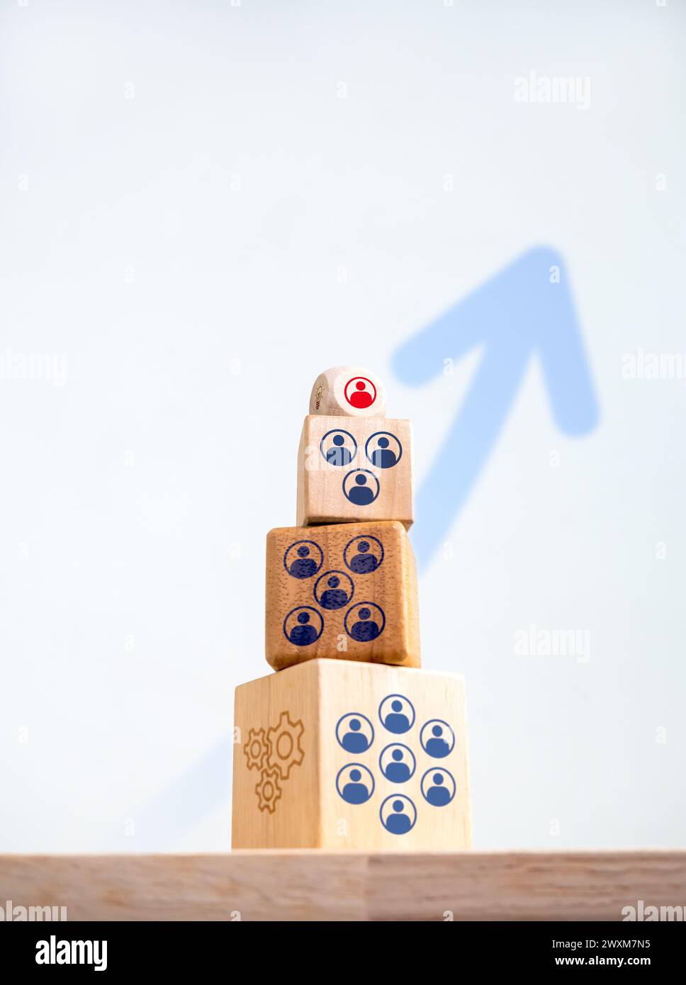 Human resources management, leader, manage, recruitment business team ...