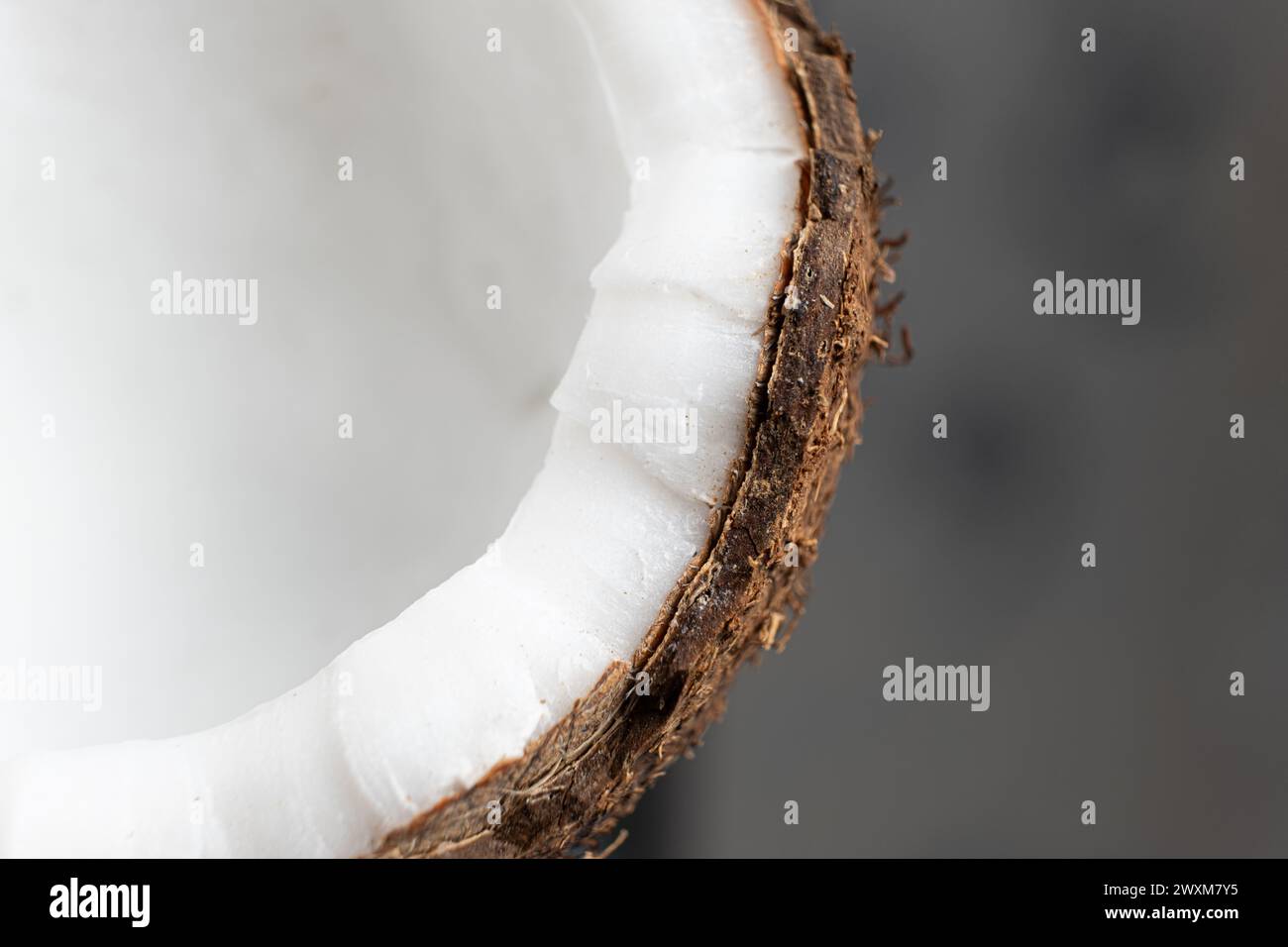 Macro coconut pulp and coconut husk on grey background Stock Photo - Alamy