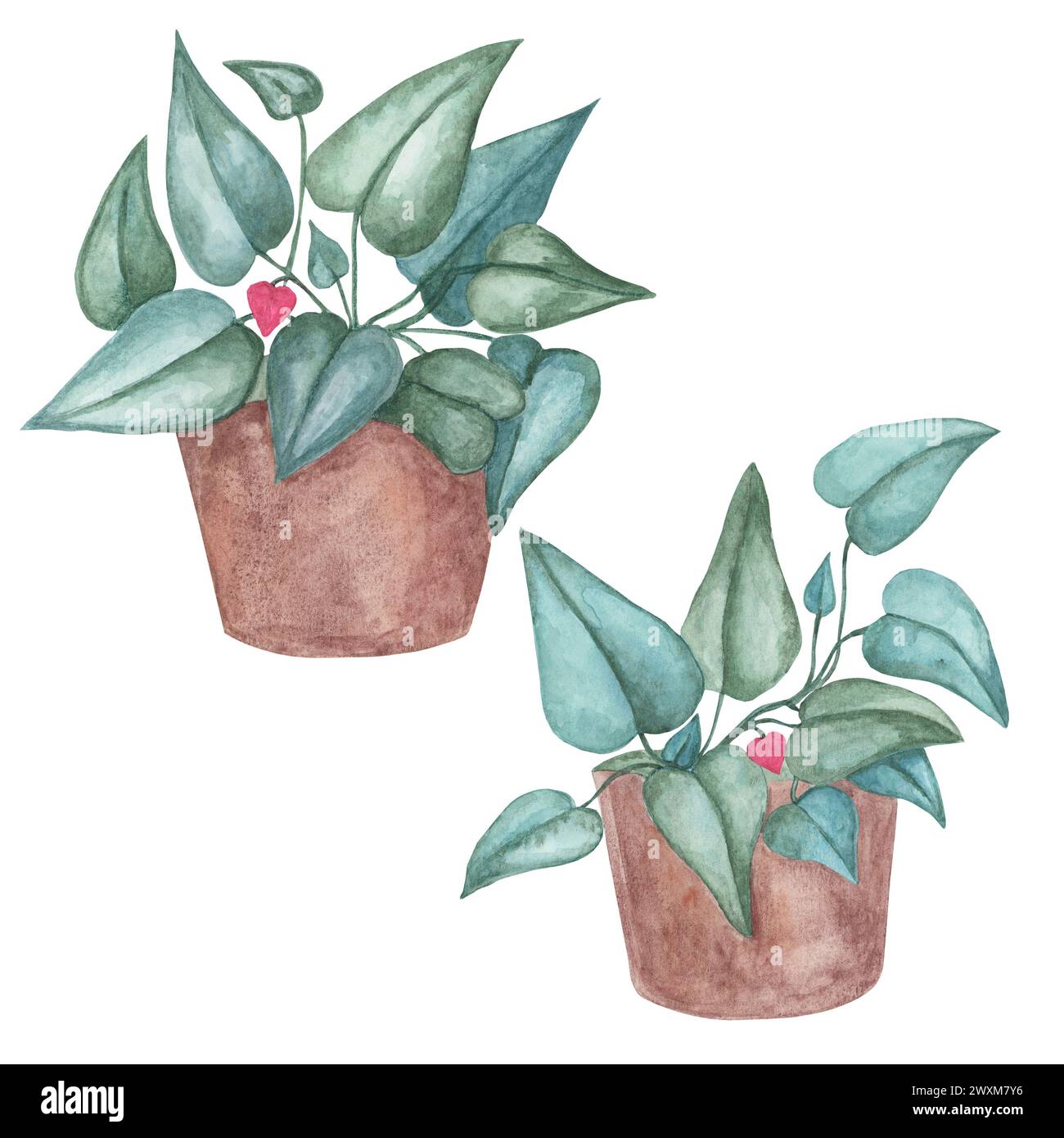 Set of Heart fern plants with pots, watercolor. Pink, green love plant ...