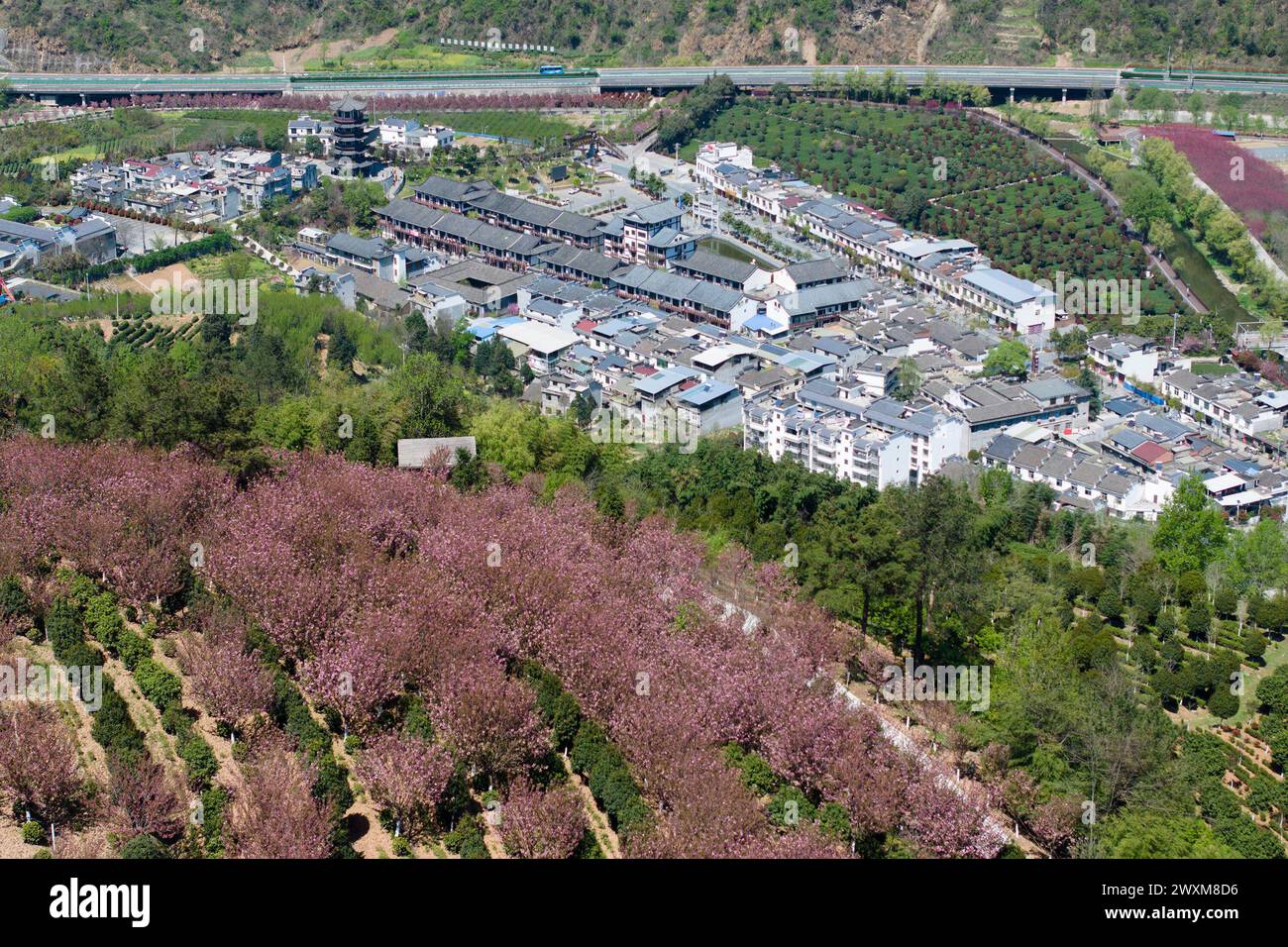 Xi'an. 31st Mar, 2024. An aerial drone photo taken on March 31, 2024 ...