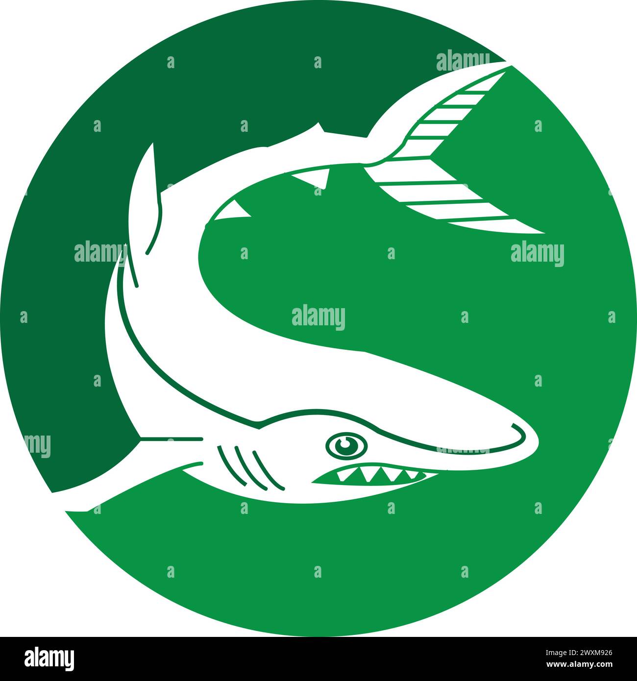 shark icon vector illustration symbol design Stock Vector Image & Art ...