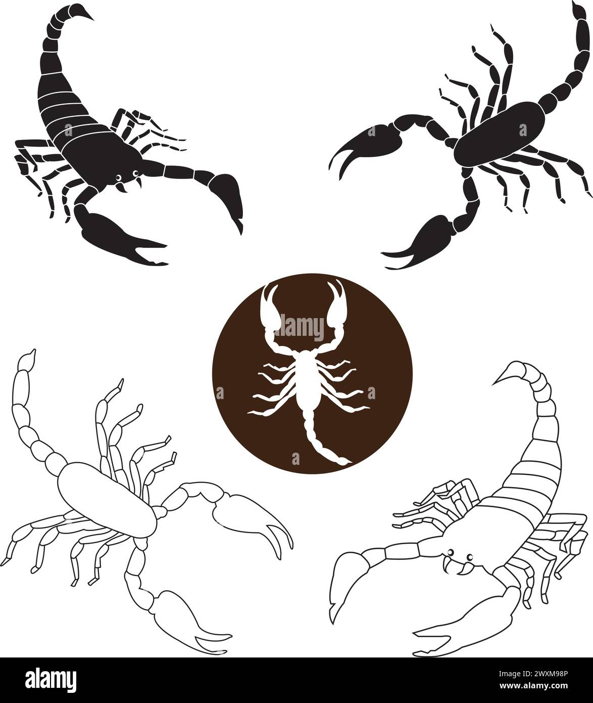 scorpion icon vector illustration logo design Stock Vector Image & Art ...