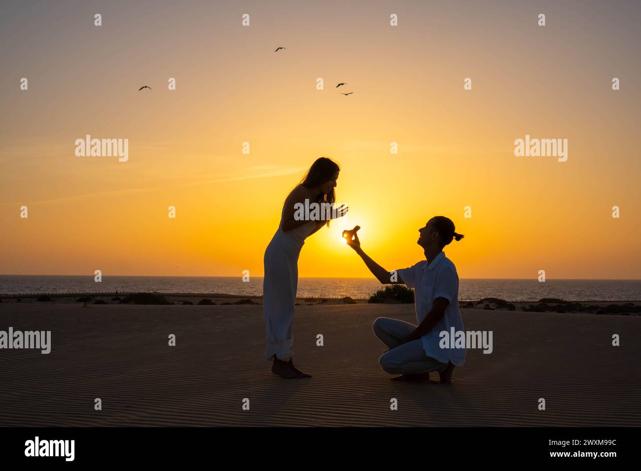 Silhouette of a couple during a marriage proposal on the beach with a ...