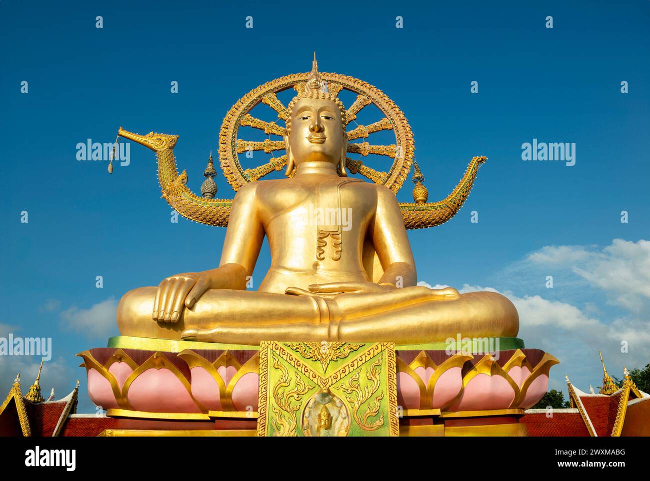 Koh Samui, Thailand - 21 January, 2024: Large golden Buddha statue sits ...