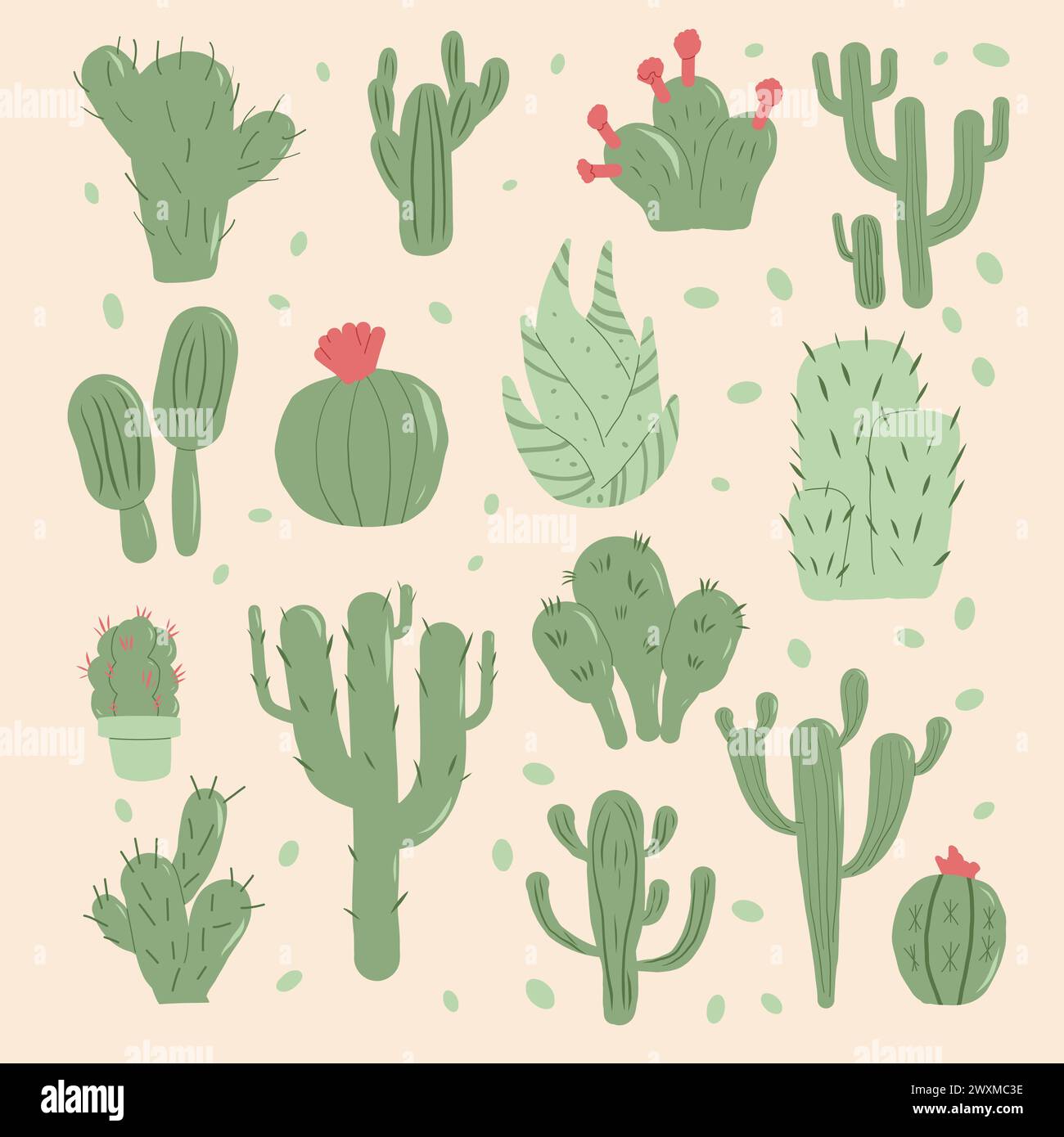 Cactus succulent set. Mexican cacti and aloe square card. Exotic ...