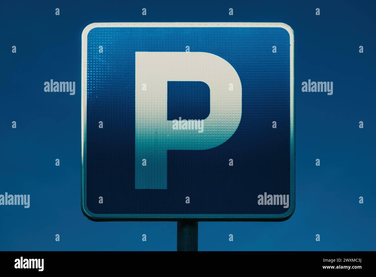 Parking area blue sign with white letter P illuminated by the warm ...