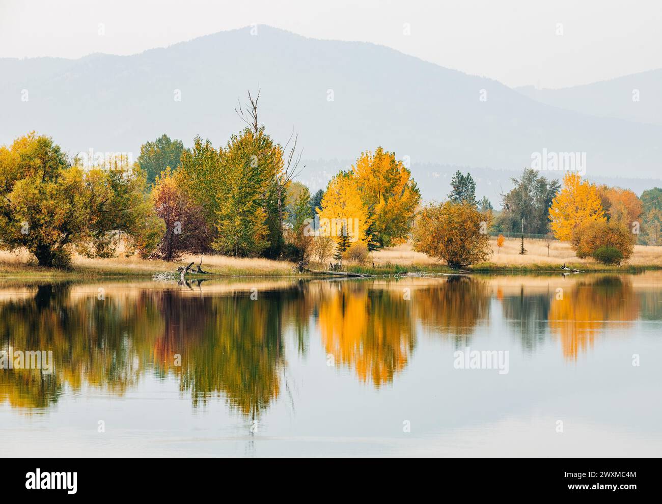 Symmetrical fall landscape with trees reflected in water Stock Photo ...
