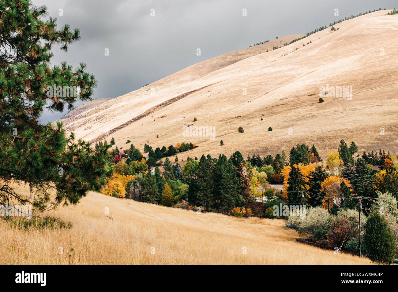 Mount sentinel missoula hi-res stock photography and images - Alamy
