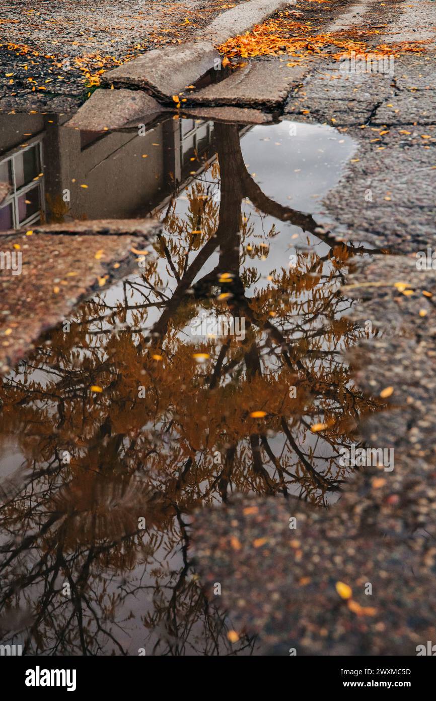 Puddle on the ground hi-res stock photography and images - Alamy