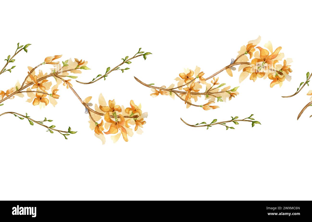 Seamless border of watercolor first yellow spring flowers isolated on ...