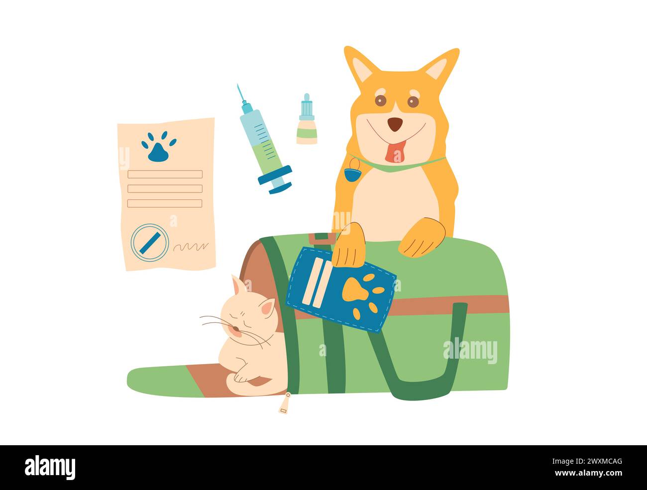 Vaccination for travel pets. Veterinary rules for transportation dogs ...