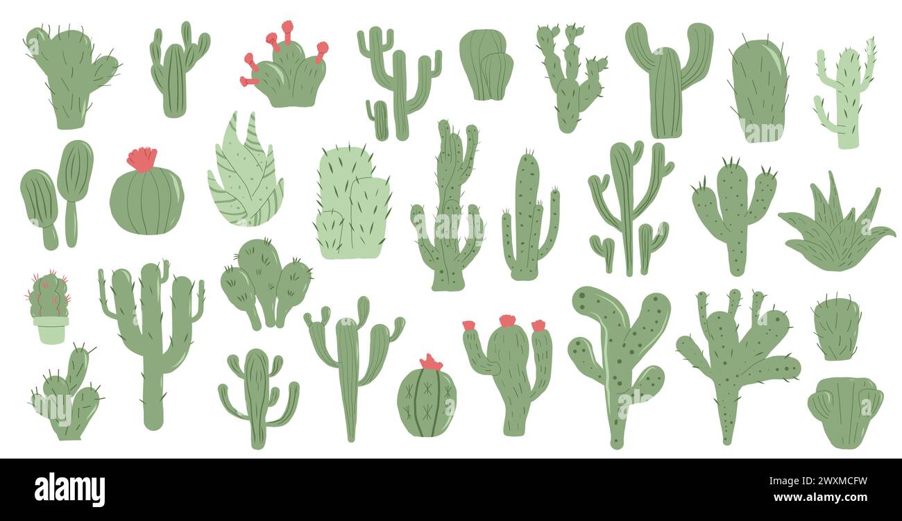 Cactus set isolation on white background. Mexican cacti and aloe ...