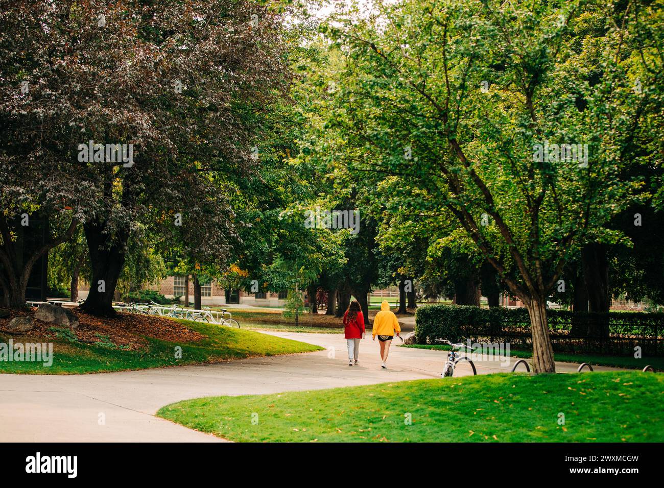 Two college students walking on campus wearing bold colors Stock Photo ...