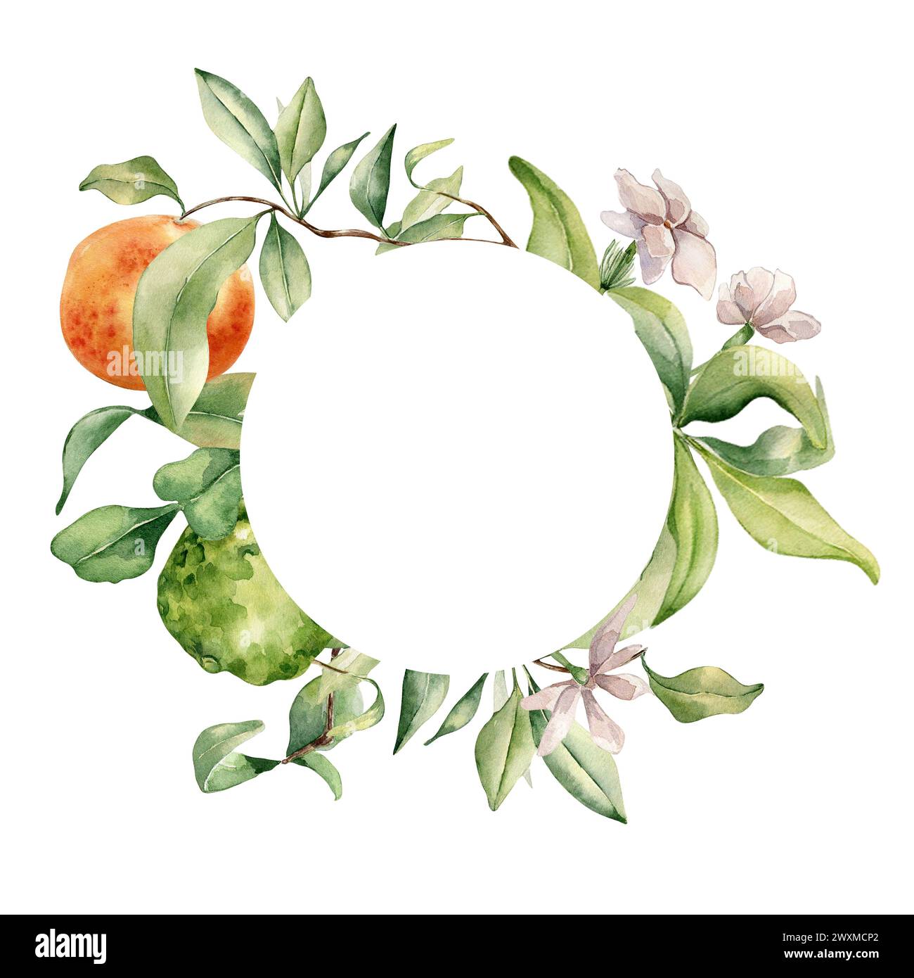 Sambac jasmine Cut Out Stock Images & Pictures - Alamy