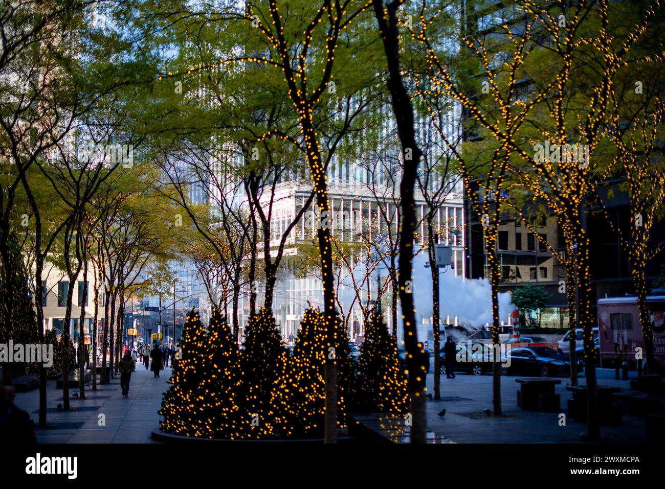 City street with numerous hanging lights on trees, creating a magical ...