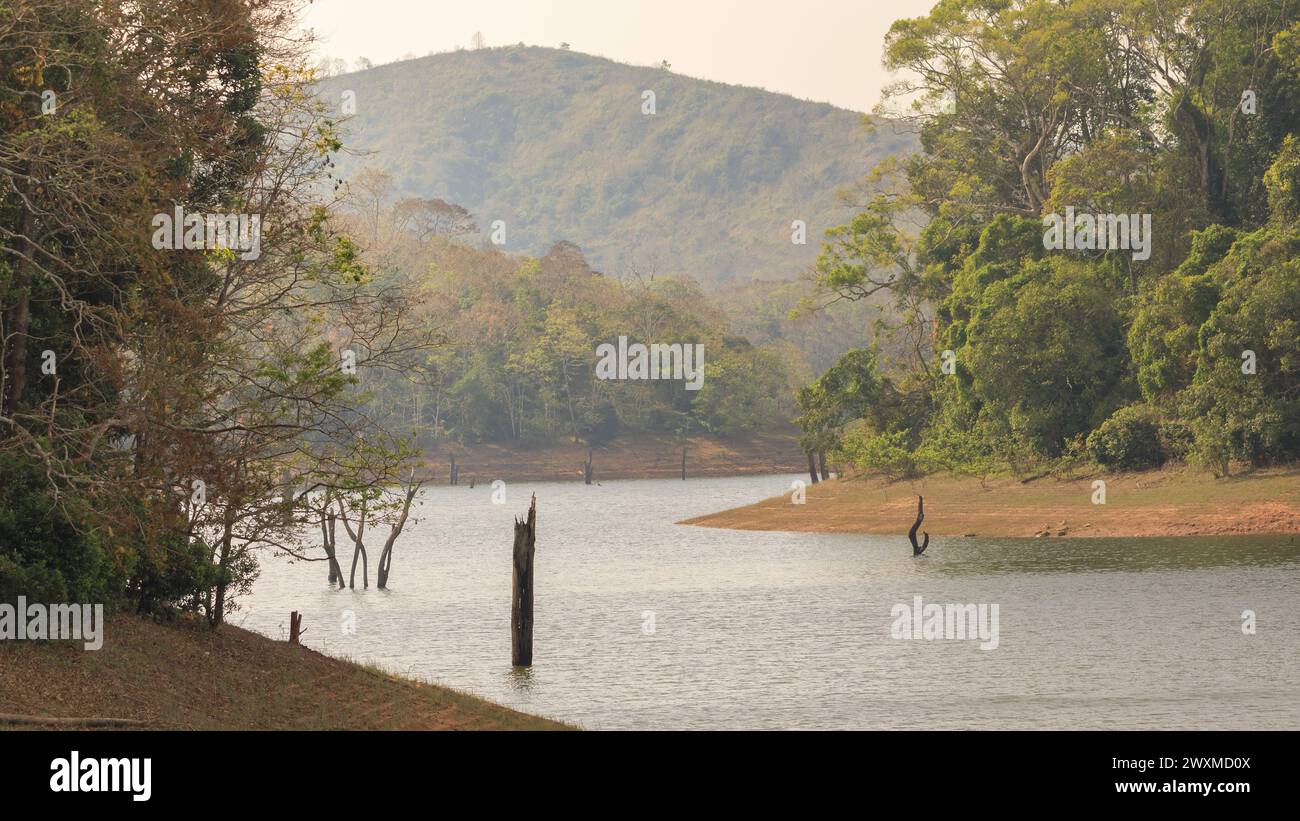 Beautiful landscape photos of Periyar tiger reserve / Thekkady Tourism ...