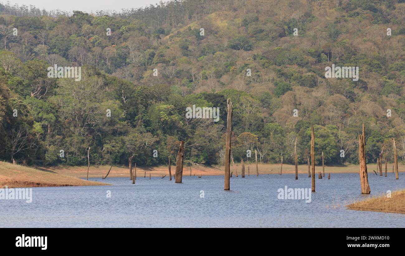 Beautiful landscape photos of Periyar tiger reserve / Thekkady Tourism ...