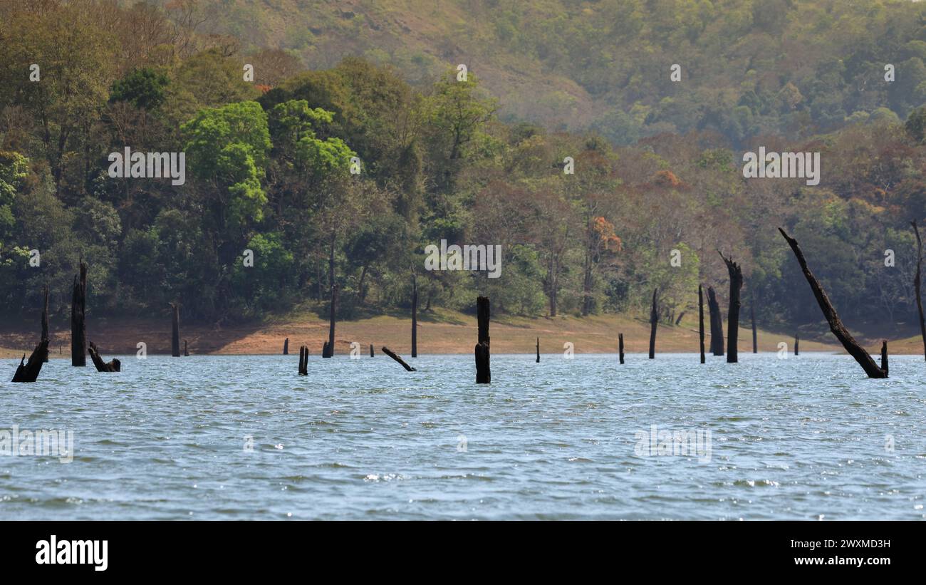 Beautiful landscape photos of Periyar tiger reserve / Thekkady Tourism ...
