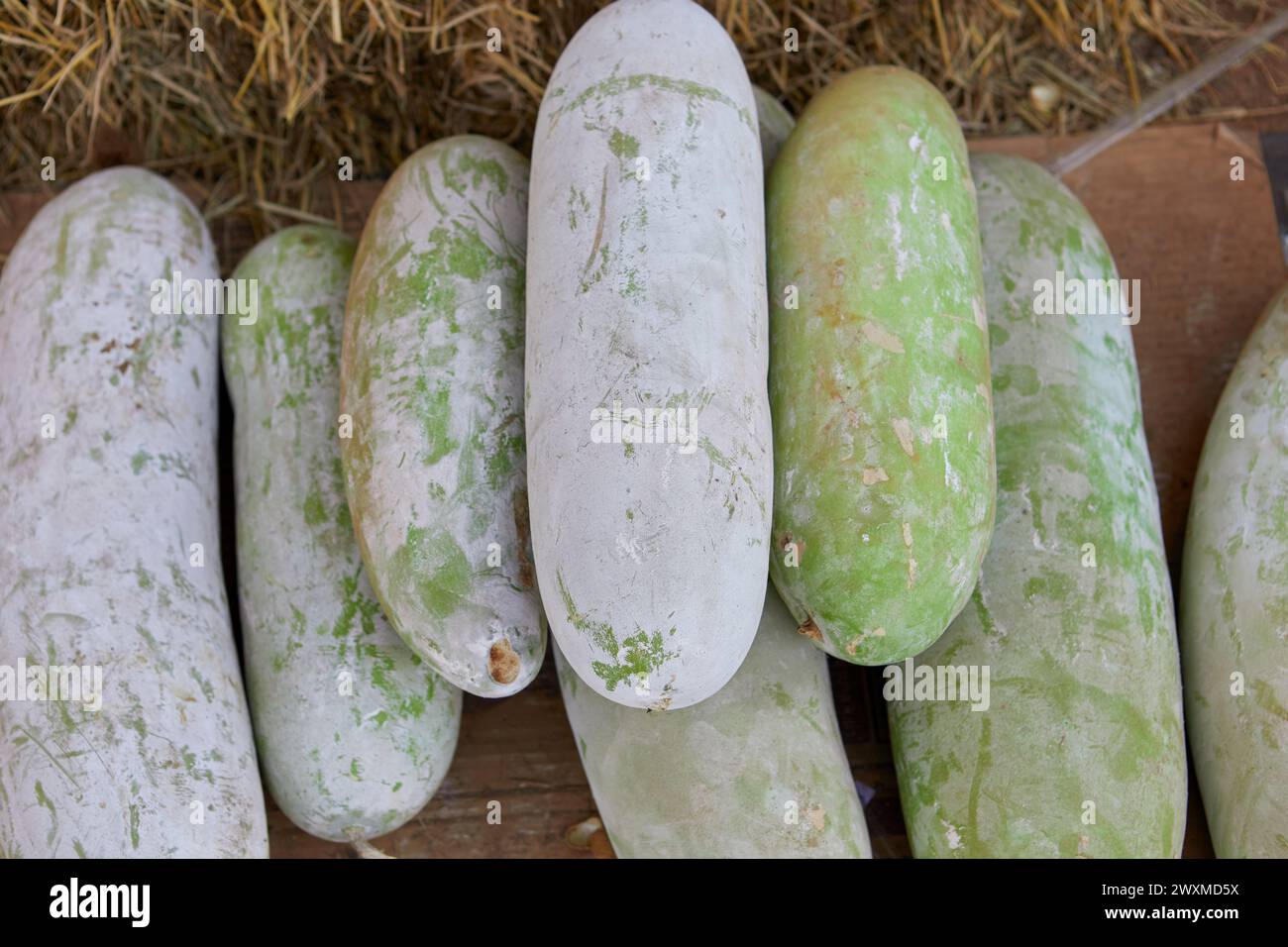 Melon squash hi-res stock photography and images - Alamy