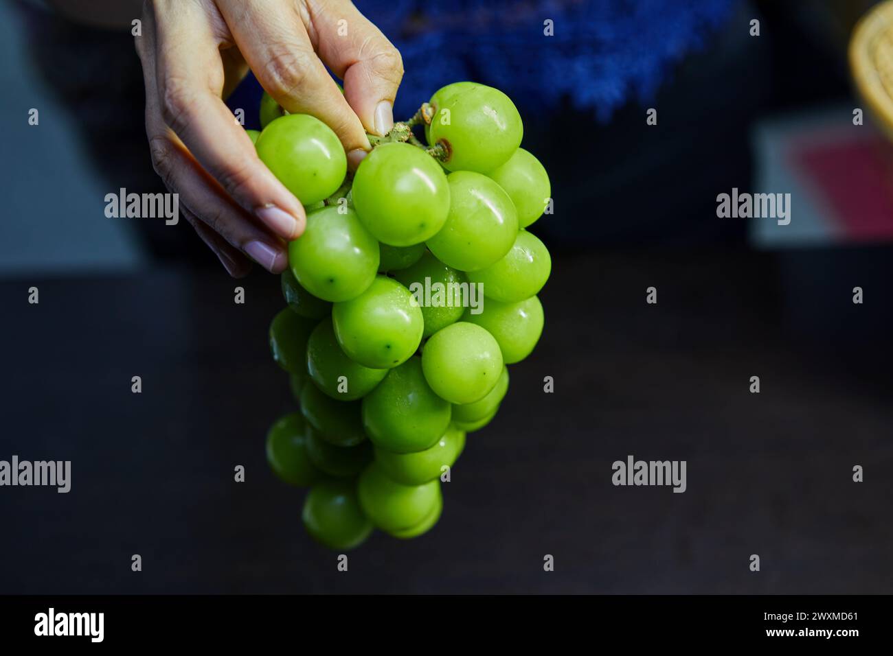 Woman hand holding bunch hi-res stock photography and images - Alamy