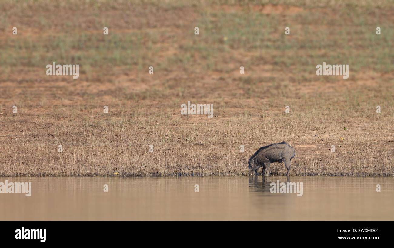 Beautiful landscape photos of Periyar tiger reserve / Thekkady Tourism ...