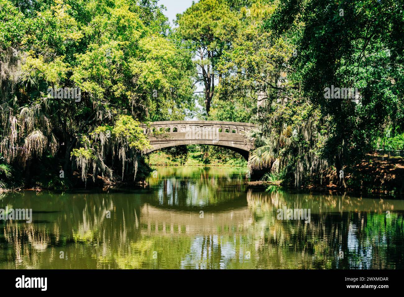 Stone bridge over pond with green foliage in City Park, New Orleans ...