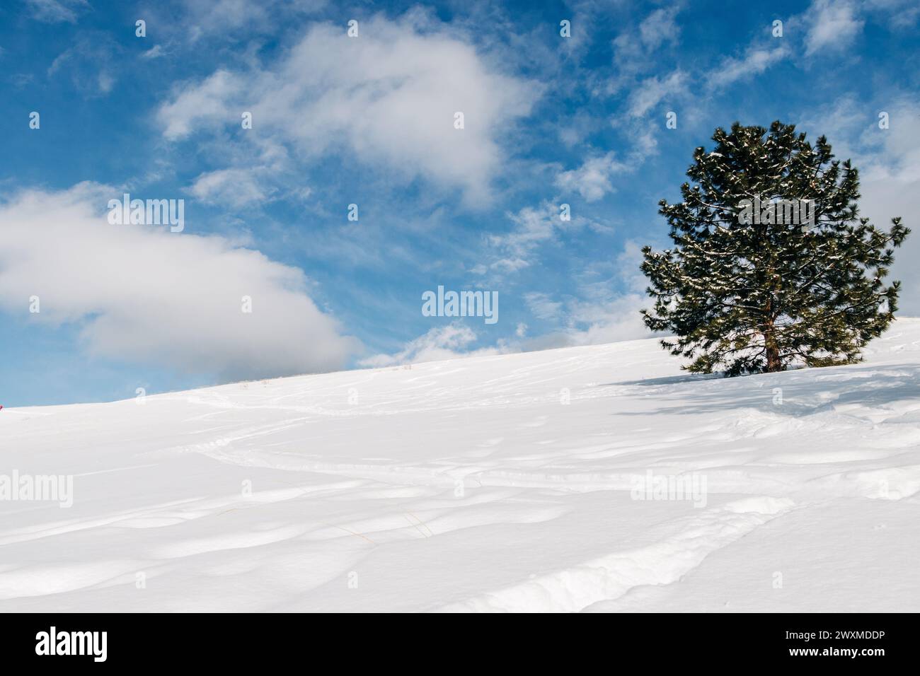 Mount sentinel missoula hi-res stock photography and images - Alamy