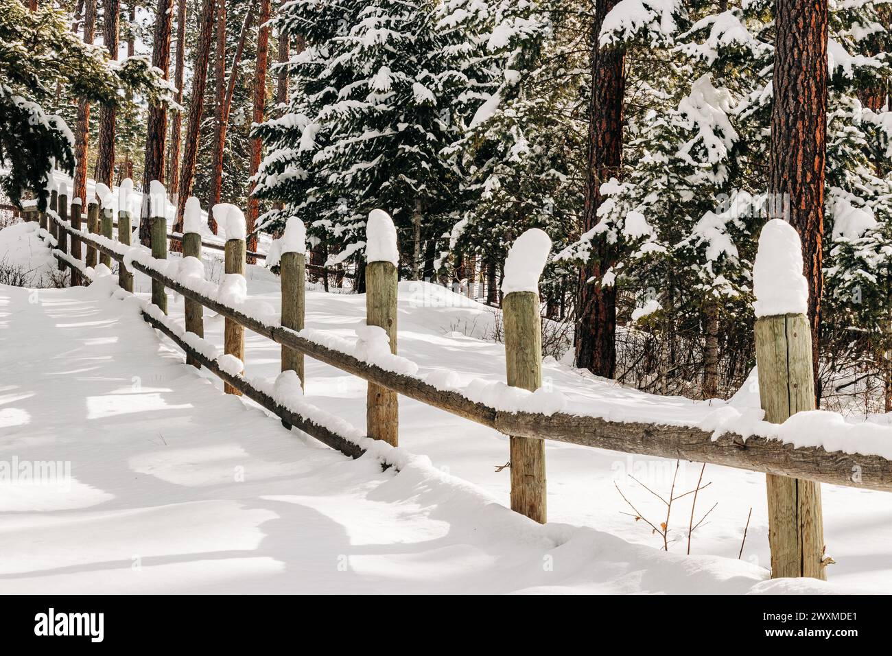 12 inches of snow hi-res stock photography and images - Alamy