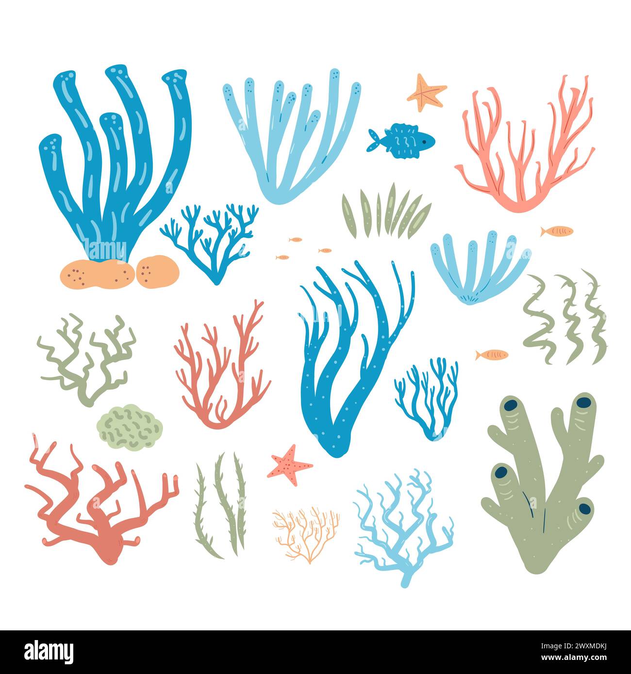 Coral reef set isolated on white background. Sea underwater elements ...