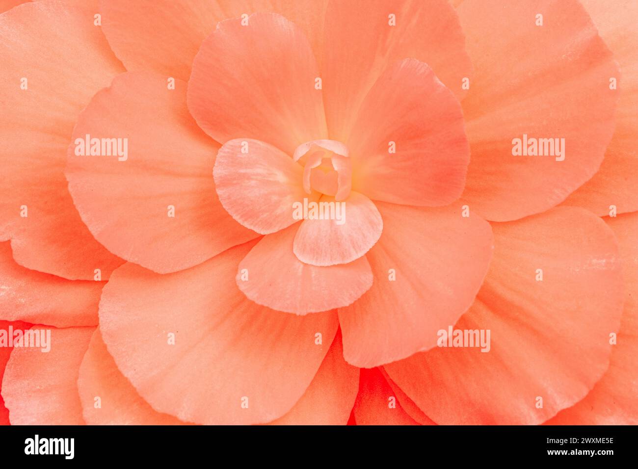 Concentric glow hi-res stock photography and images - Alamy