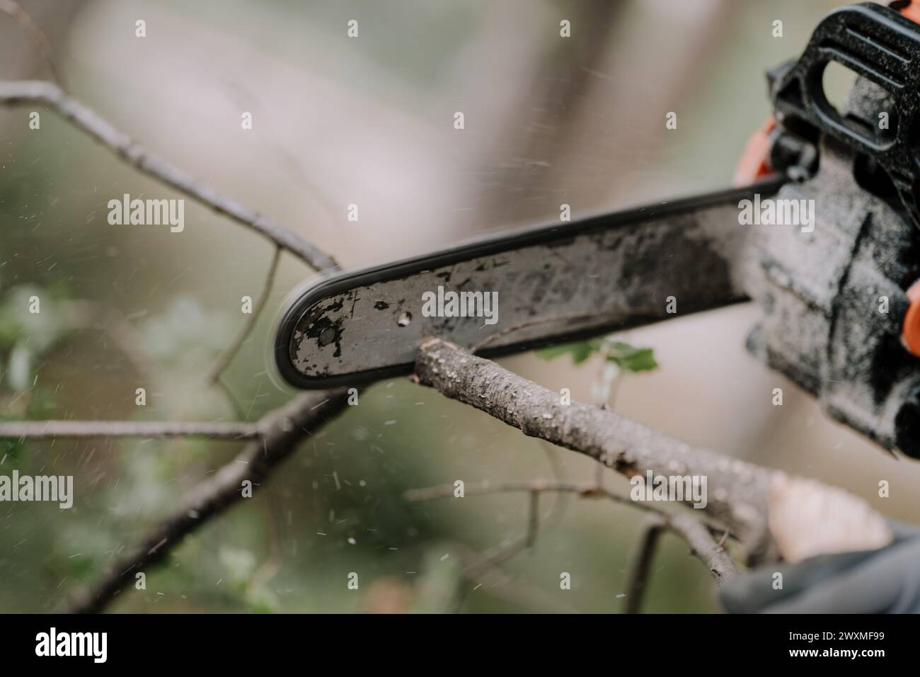 A man cutting a tree with a circular saw Stock Photo - Alamy